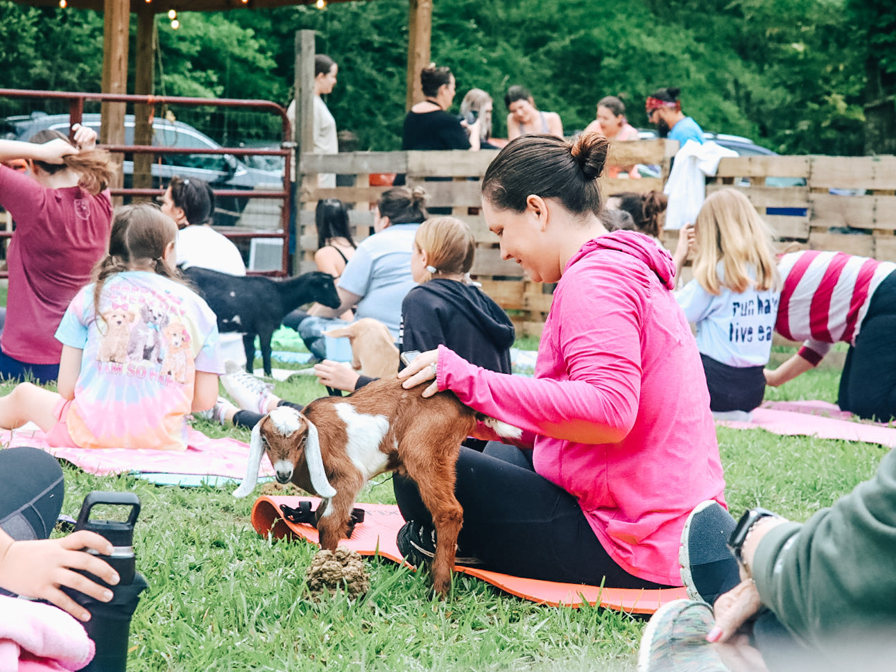 Goat Yoga & Soap Class – Old Rusty Gate Farm